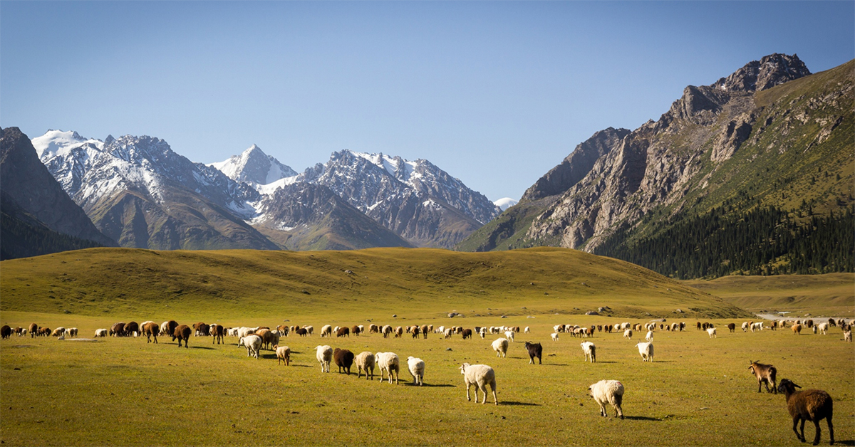 Sary-Jaz Valley | Trip to Kyrgyzstan